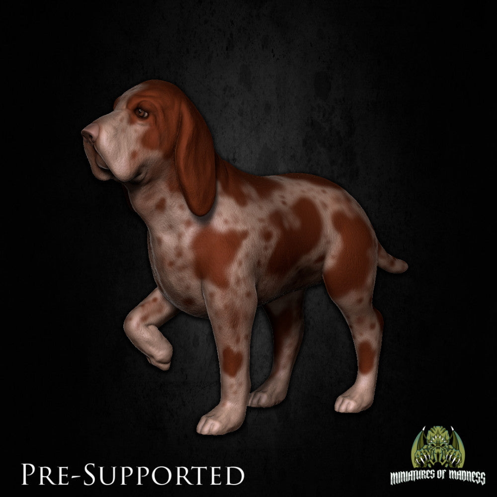 Rusty The Dog [PRE-SUPPORTED] - Miniatures of Madness - Miniatures by ...
