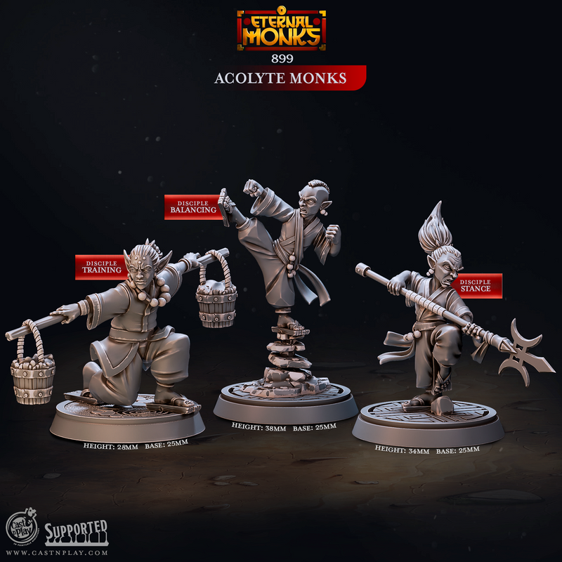 Acolyte Monks - Eternal Monks - CastNPlay - Terrain Wargaming D&D DnD ...