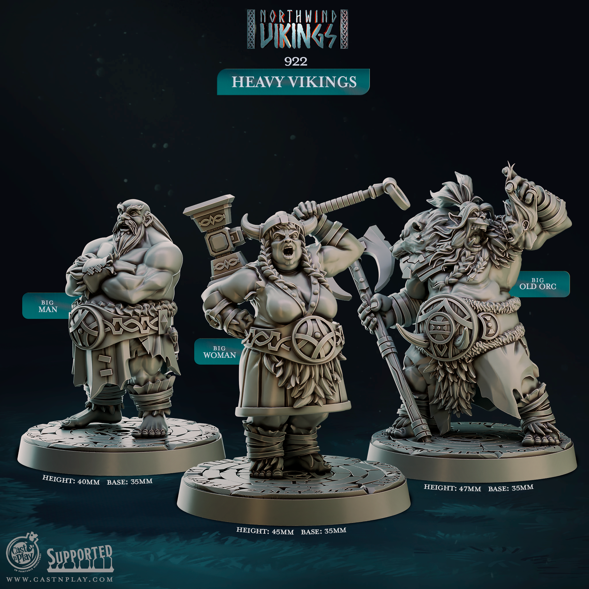 Heavy Vikings - Northwind Vikings - CastNPlay - Terrain Wargaming D&D ...