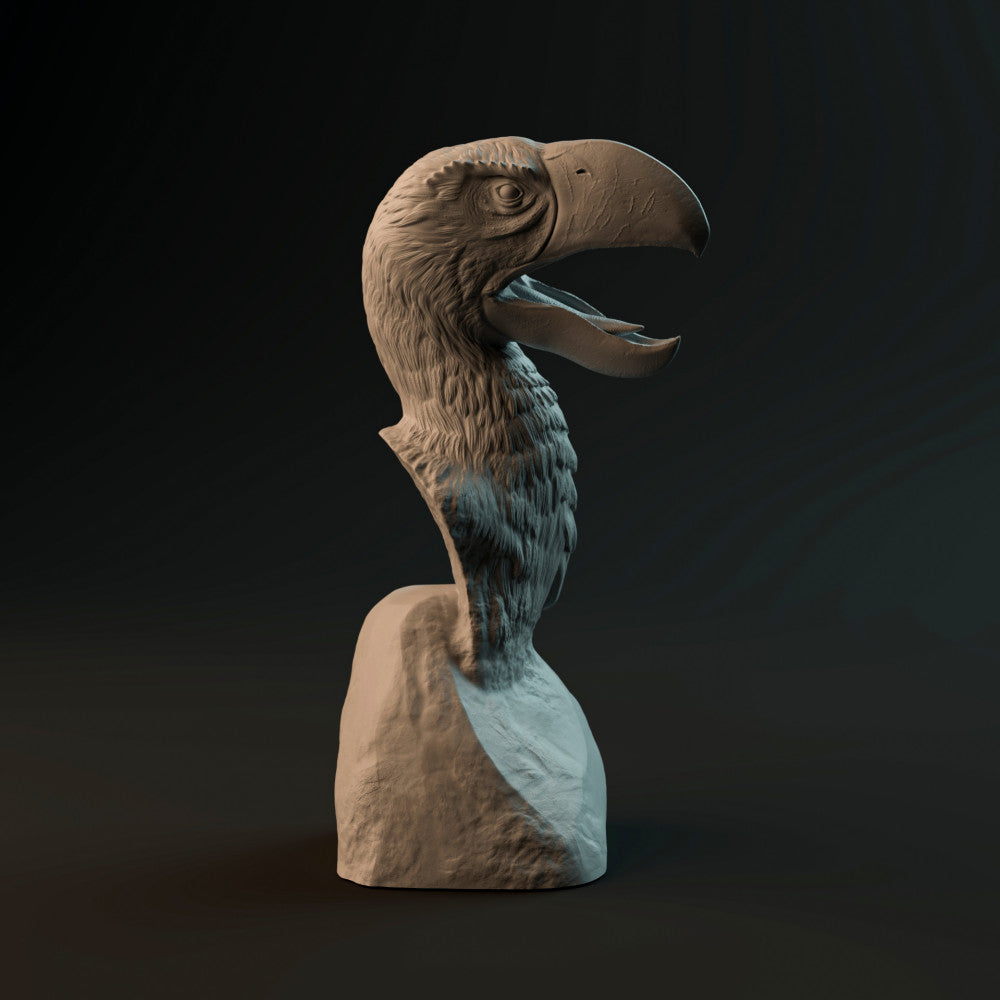 Brontornis bust - Dino and Dog - Miniatures by Only-Games.co