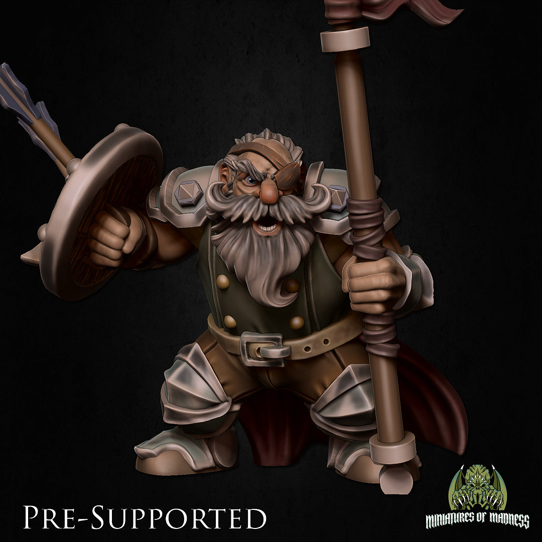 Balindur Sharpeyed [32mm Scale] Dwarf Fighter - Miniatures of Madness ...